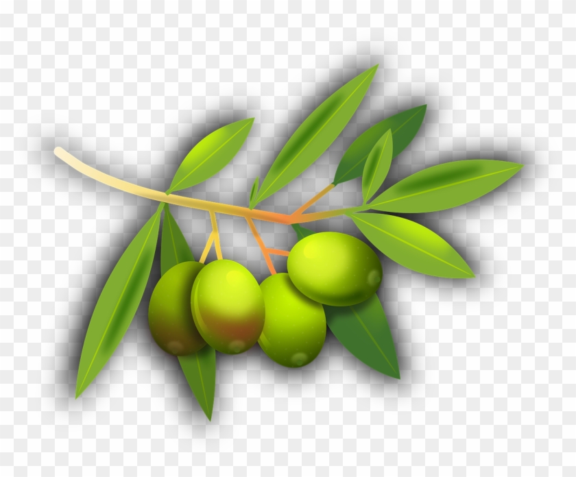 Olives Cliparts - Olive Fairy Book [book] - Free Transparent PNG ...